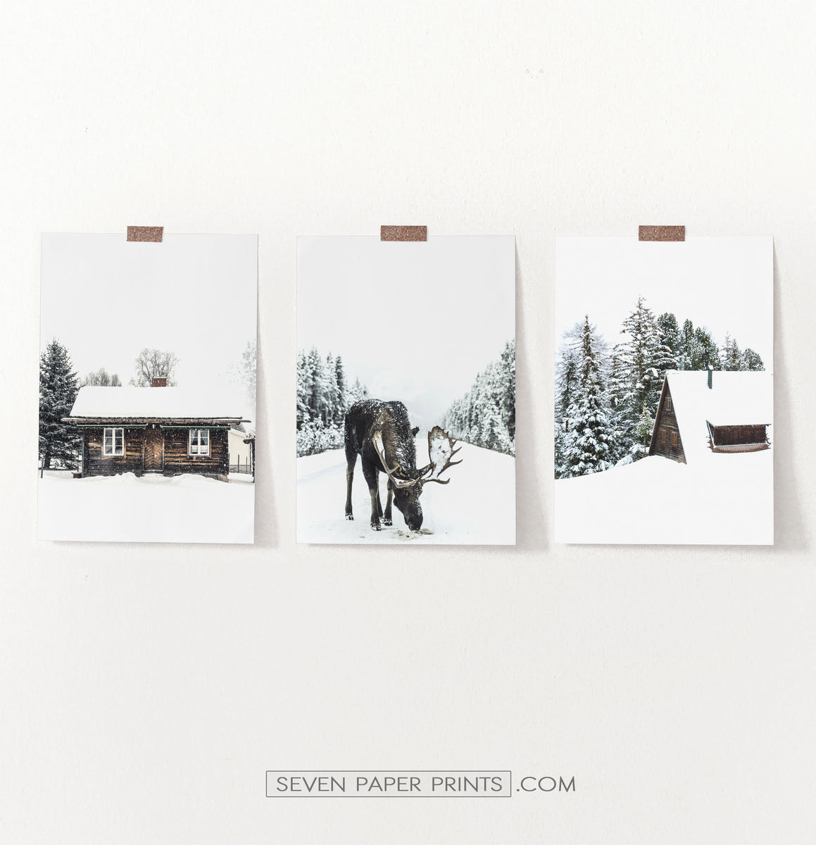 Moose Decor Snow Photography 3 Piece Wall Art – Seven Paper Prints