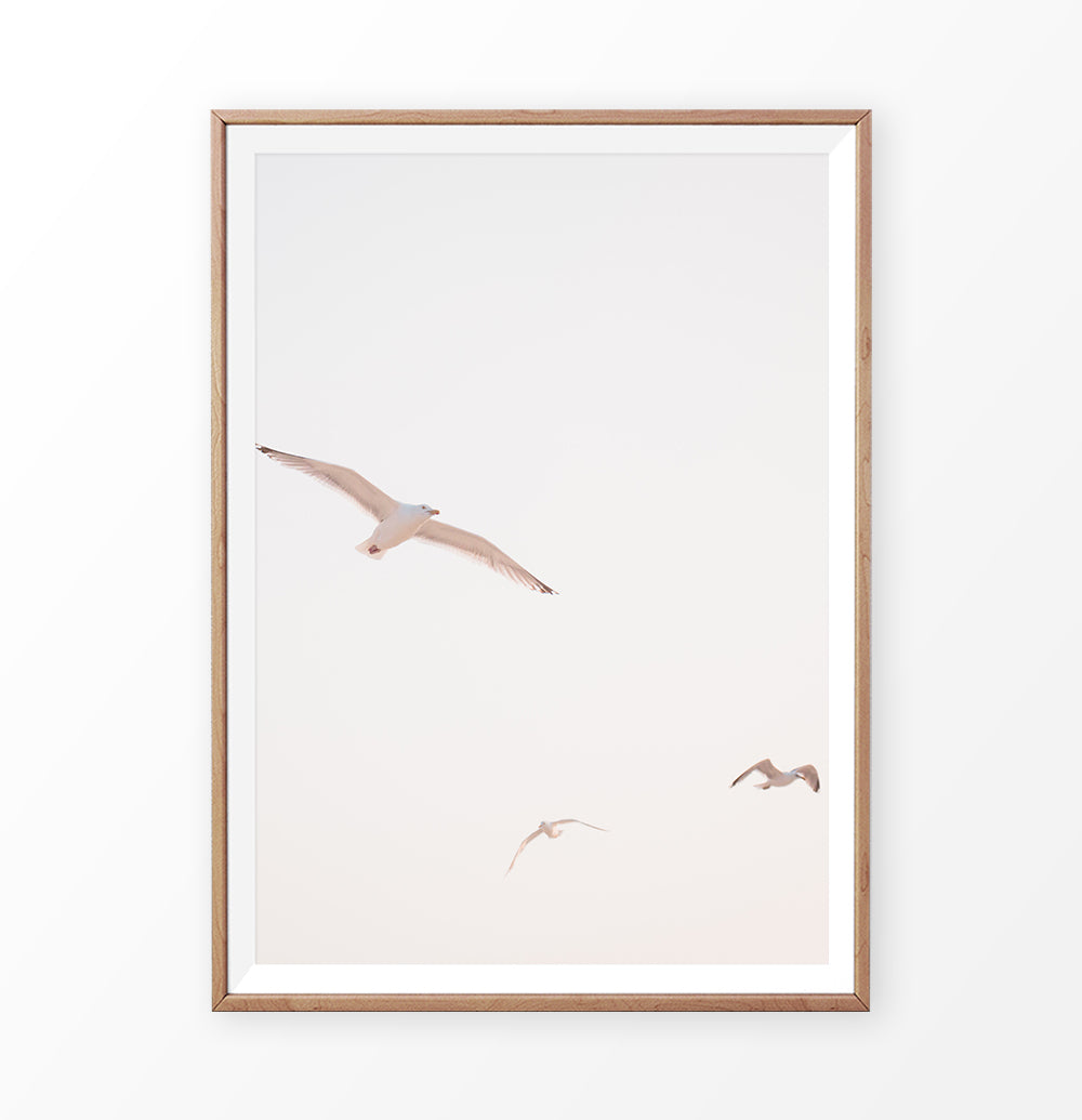 Seagull Flying Above Ocean Print - Bird Photography Decor – Seven Paper ...