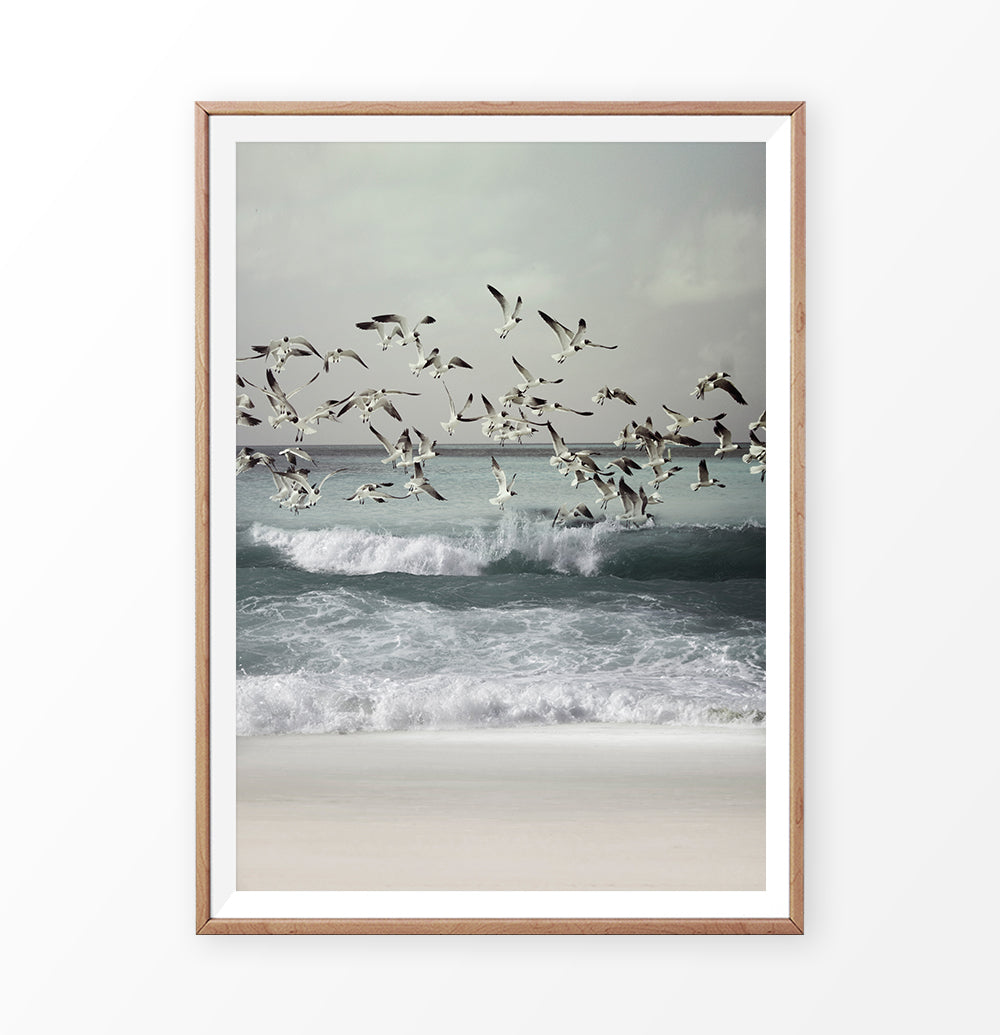 Flying Seagull Print with Green Water and Pink Sand Beach – Seven Paper ...
